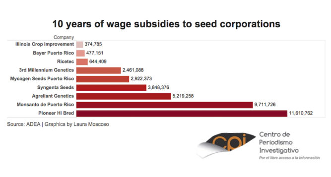 puerto_rico_chart_tableau – The Seattle Globalist
